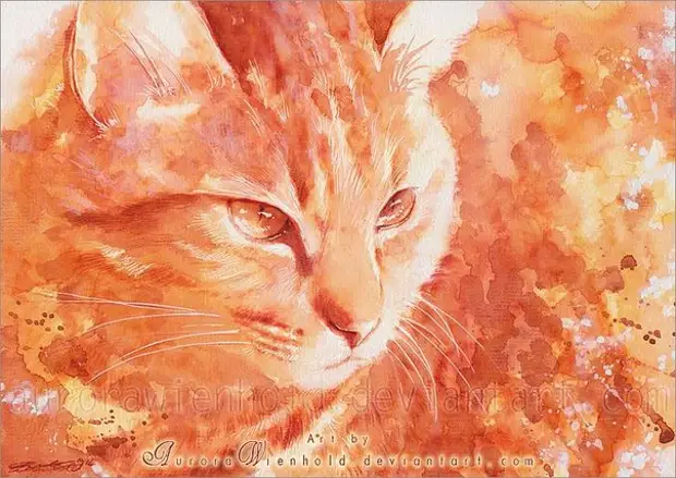 Sunny warm cats from Aurora Wienhold