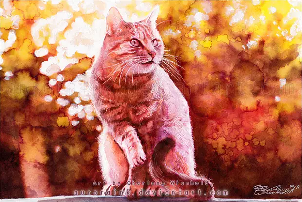 Sunny warm cats from Aurora Wienhold