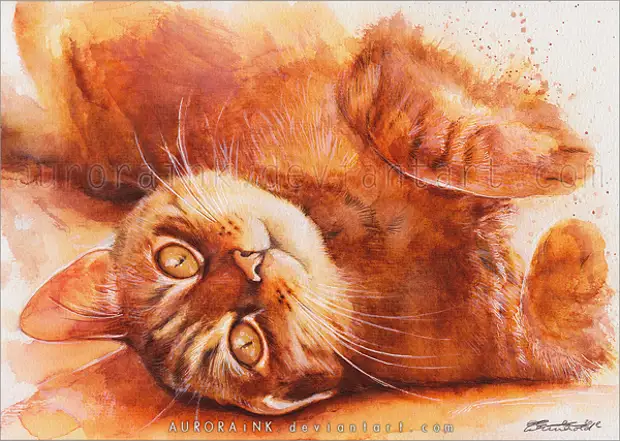 Sunny warm cats from Aurora Wienhold