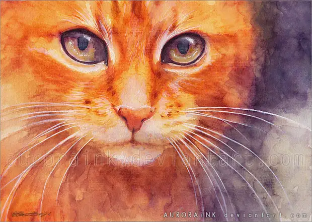 Sunny warm cats from Aurora Wienhold