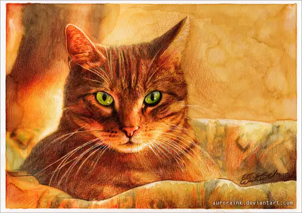 Sunny warm cats from Aurora Wienhold