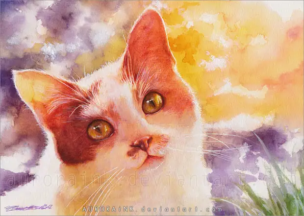 Sunny warm cats from Aurora Wienhold