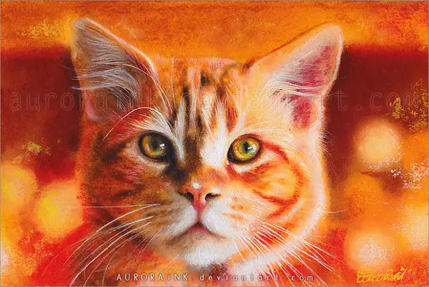 Sunny warm cats from Aurora Wienhold