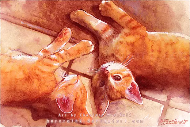 Sunny warm cats from Aurora Wienhold