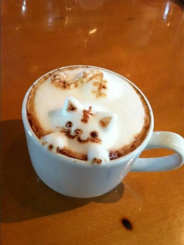 When cats are watching you from a cup of latte food, cats