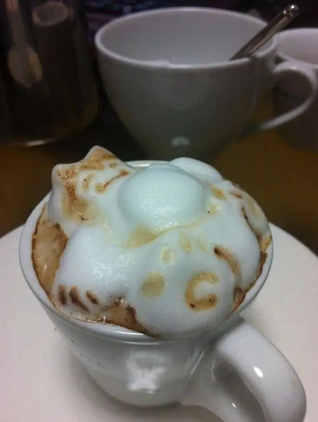 When cats are watching you from a cup of latte food, cats