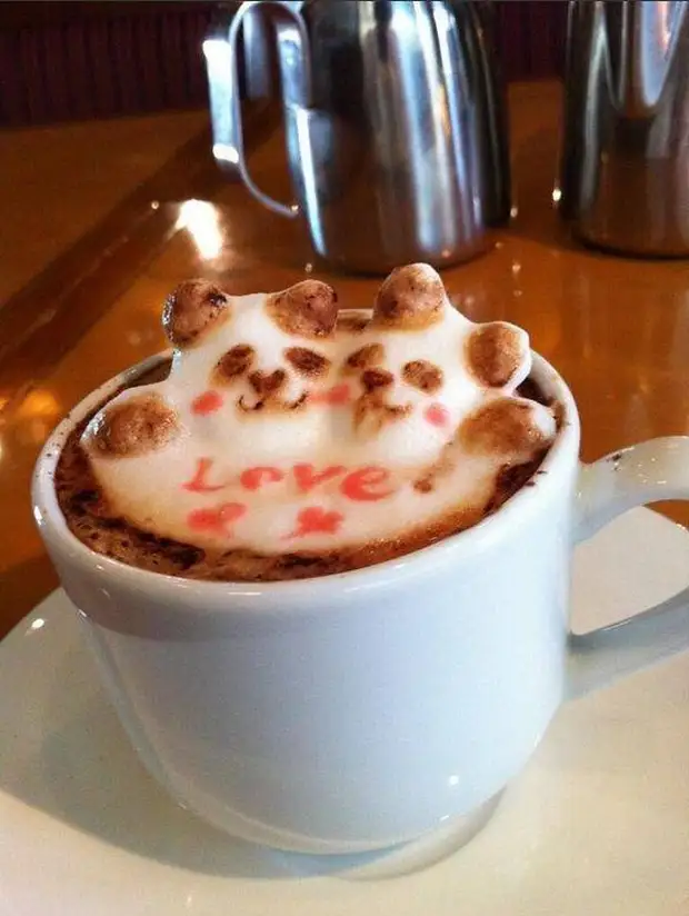 When cats are watching you from a cup of latte food, cats