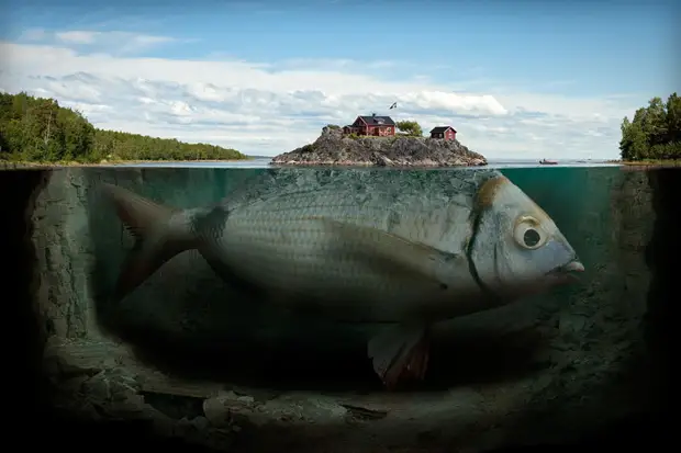 Neįprasta Erico Johanssono nuotrauka iliuzija, nuotrauka, fotošopas