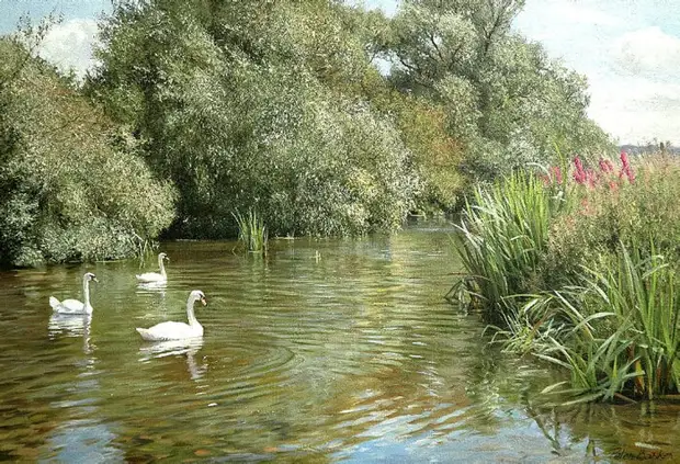 Artist Peter Barker (Peter Barker)