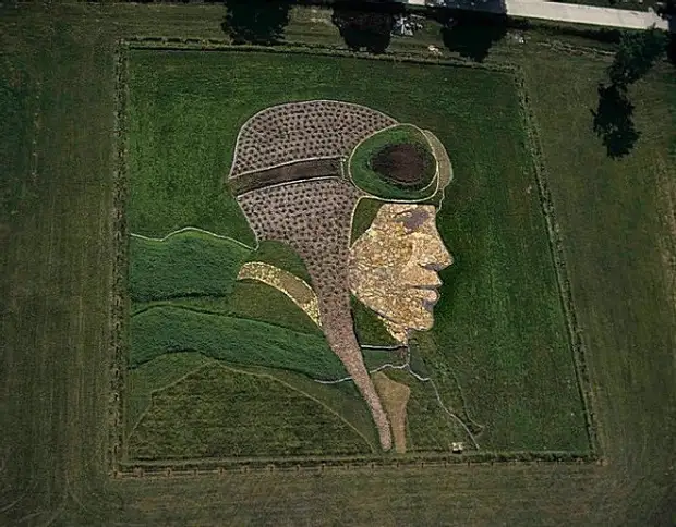 Marĝenaj Desegnaĵoj de usona artisto Stan Hurd Agropainting de Stan Hirst Earthworks, Faktoj