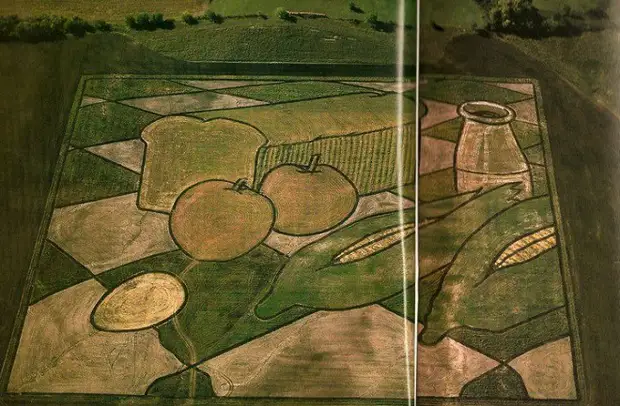 Marĝenaj Desegnaĵoj de usona artisto Stan Hurd Agropainting de Stan Hirst Earthworks, Faktoj