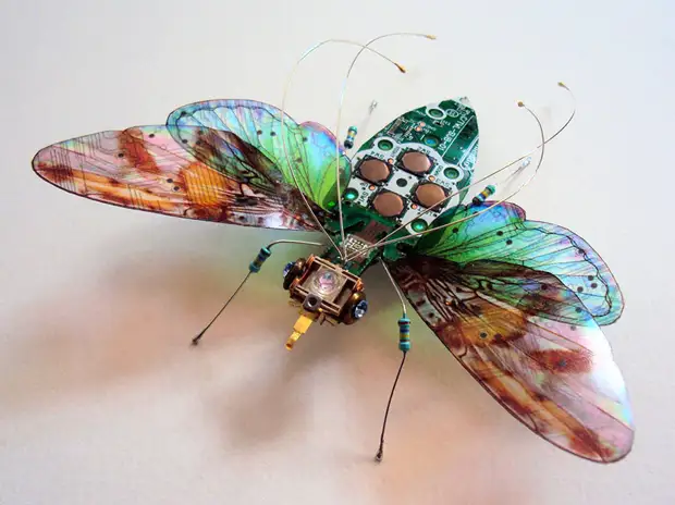 Frumusețe Art Nouveau: insecte înaripate din vechile circuite electrice de artă, insecte, techno