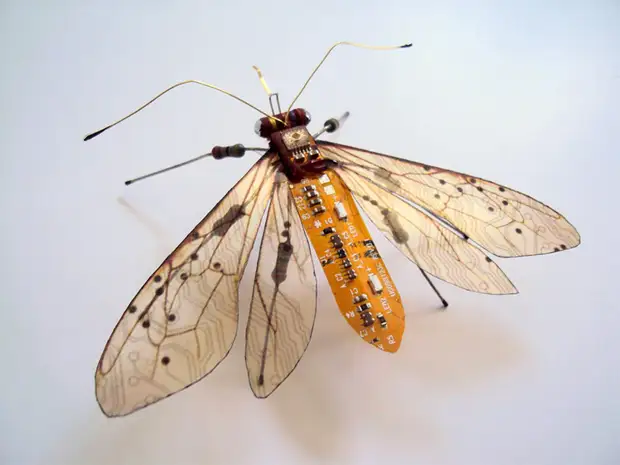 Frumusețe Art Nouveau: insecte înaripate din circuite electrice vechi artă, insecte, techno