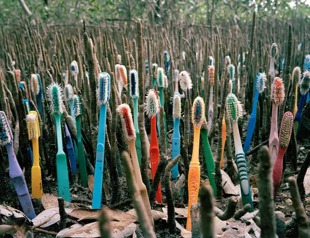 Ang mga instalasyon gikan sa basura nahugasan sa baybayon sa pag-instalar sa Mexico, mexico, basura, kadagatan