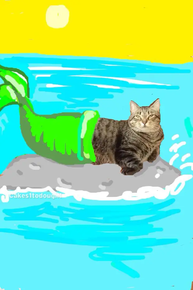 Gek avonture van katte kat, avontuur, tekening