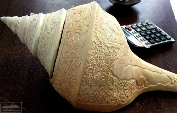 Shell carving, shell carving