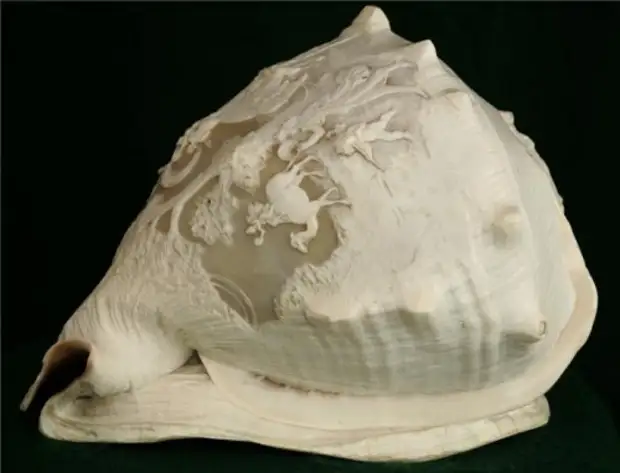 Shell carving, shell carving