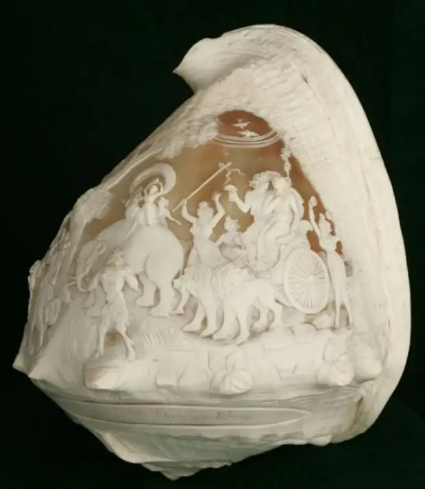 Shell carving, shell carving