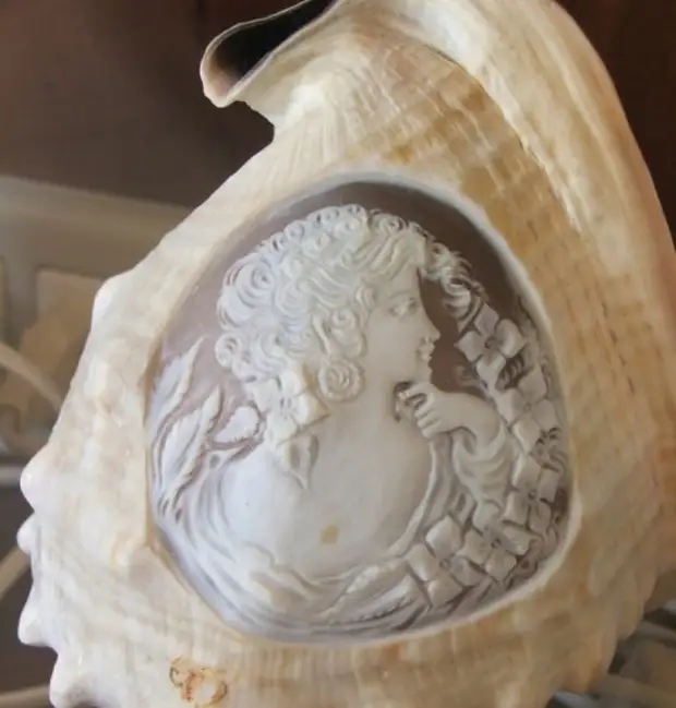 Shell carving, shell carving