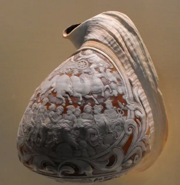 Shell carving, shell carving