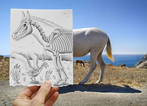 艺术家本·海涅 (Ben Heine) 绘画、绘画上的照片的壮丽系列“铅笔与相机”