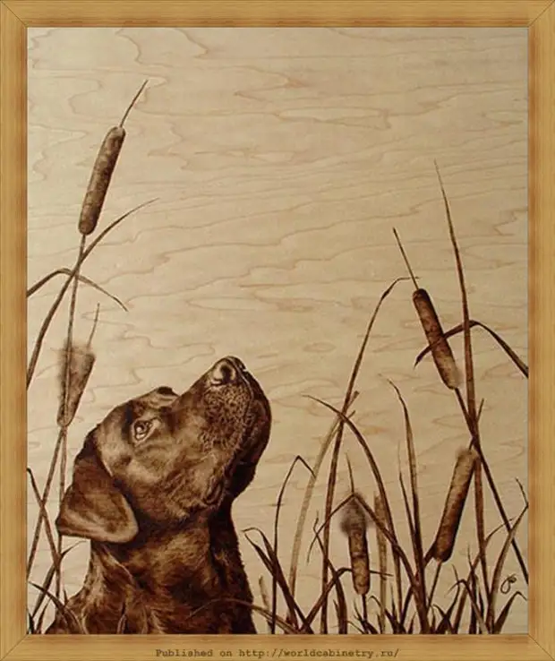 Igishushanyo cy'umuriro. Julie Bender gushushanya pyrography gushushanya