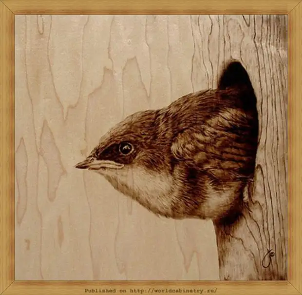 Igishushanyo cy'umuriro. Julie Bender gushushanya pyrography gushushanya