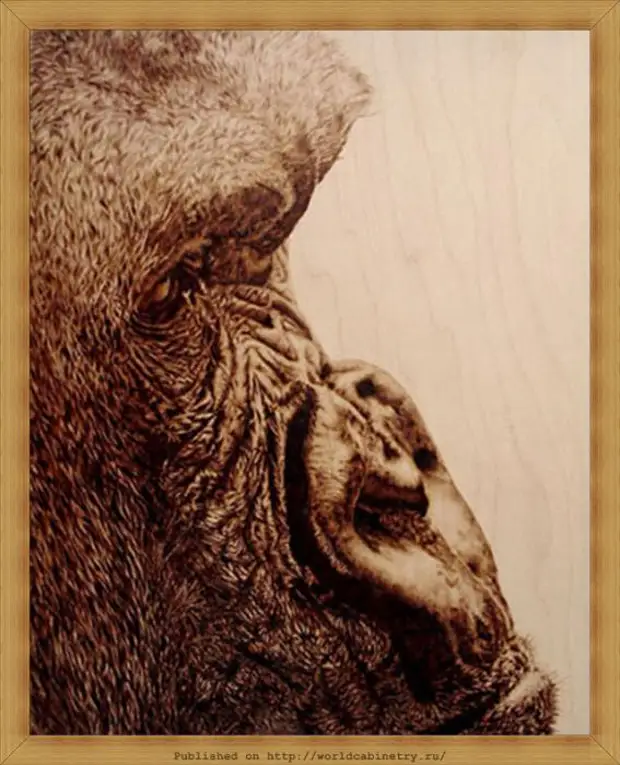 Sarin'ny afo. Sary momba ny pyrography an'i Julie Bender