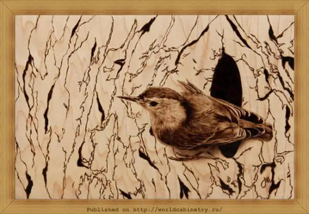 Igishushanyo cy'umuriro. Julie Bender gushushanya pyrography gushushanya