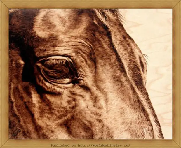 Yangın çizimleri. Julie Bender ateş pyrography çizimi