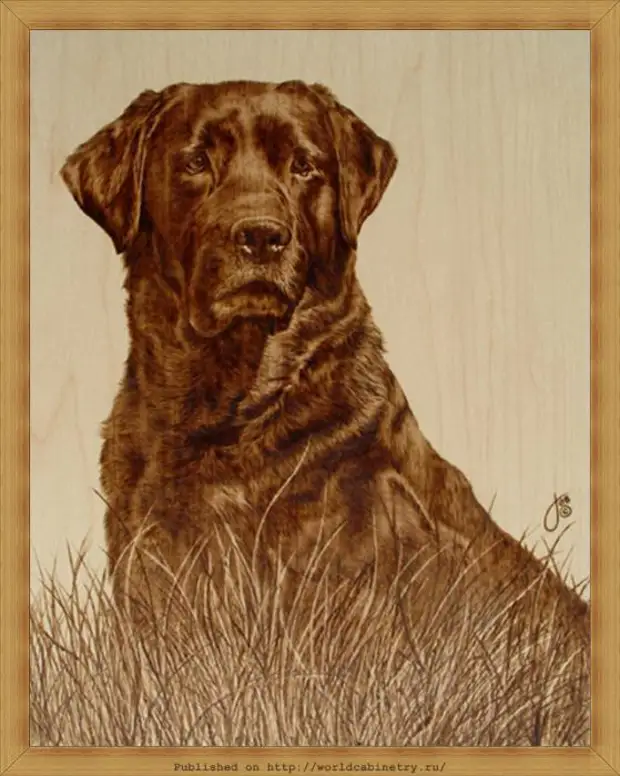 Igishushanyo cyumuriro. Julie Bender gushushanya pyrography gushushanya