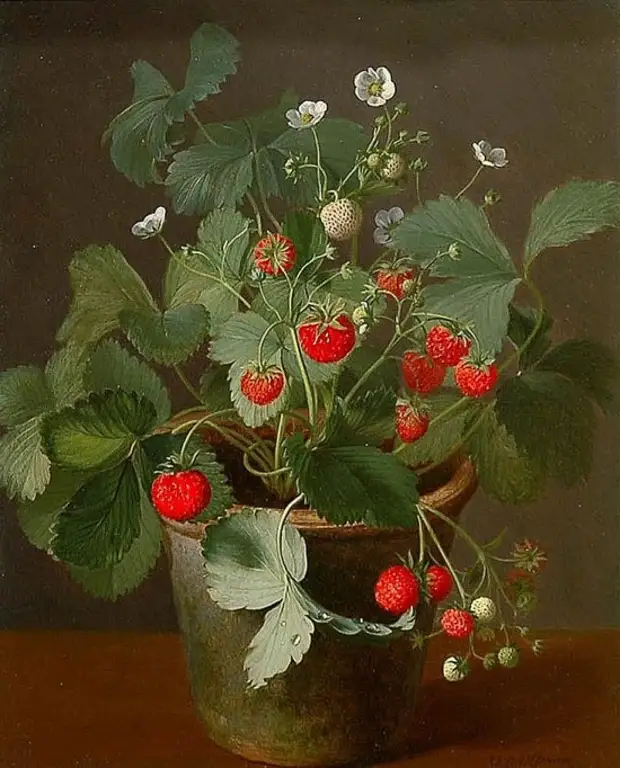 Artista Otto Diderich Ottesen (1816-1892). Retratos líricos de flores