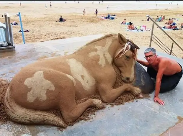 El artista crea esculturas de arena que parecen tan naturales que los ojos no pueden creer