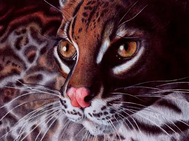 1347269599_margay_cat ___ bic_ballpoint_pen_by_vianaarts-d4nafol（700x521、407Kb）