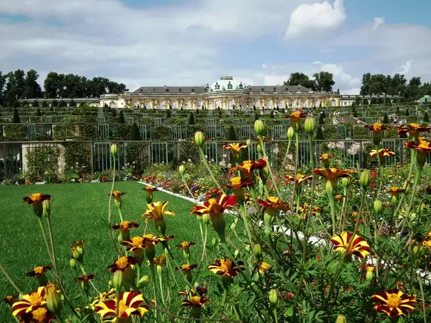 Pałac Sanssouci. Poczdam. Niemcy...