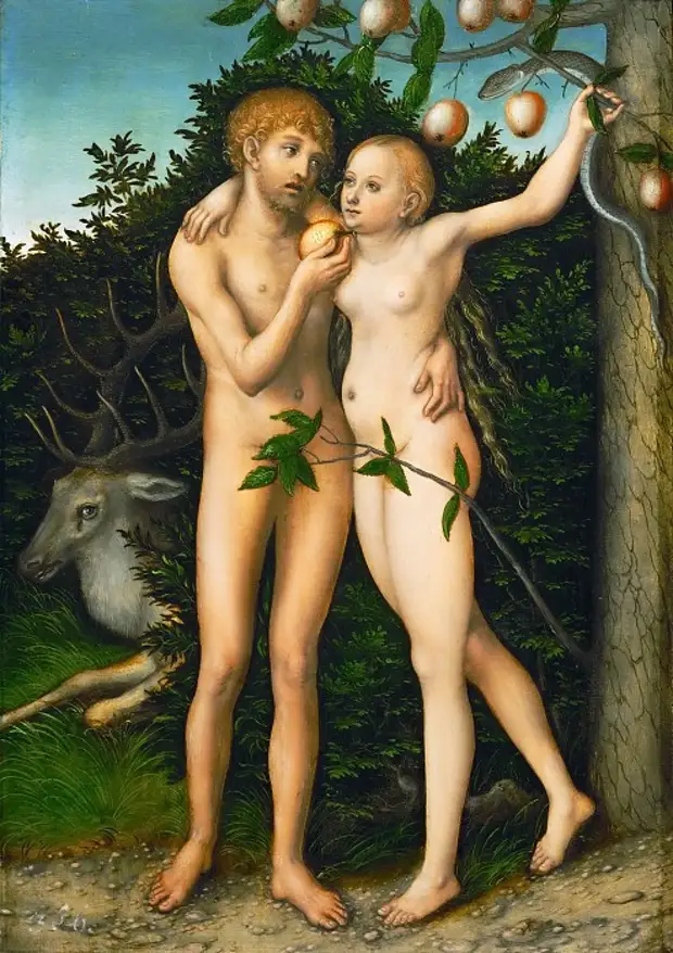 Kunstiteaduse muuseum - Lucas Cranach I - The Fall