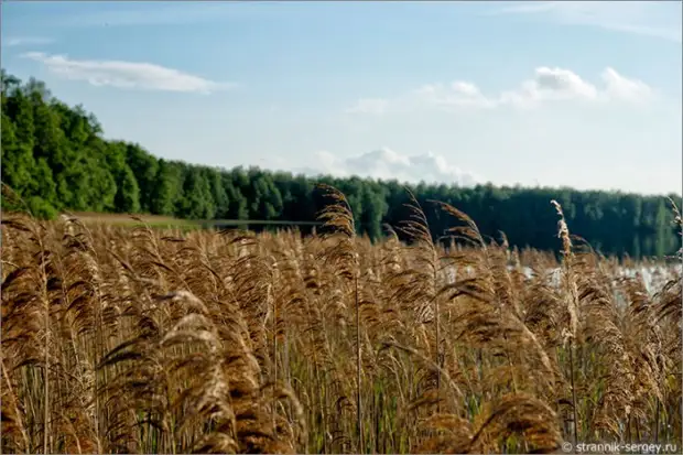 Долдугаар сарын будаг