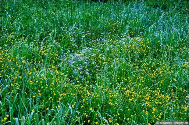 Vernici di luglio