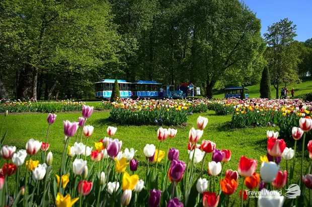 Partea estică a parcului inferior