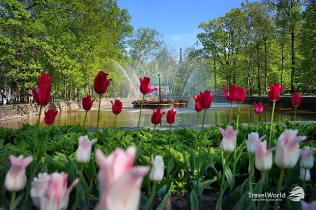 WANDEL IN DE LENTE PETERHOF 76080_24