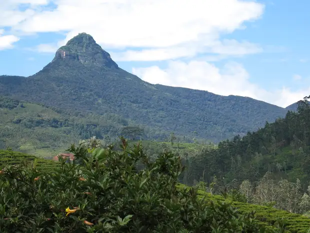 Sri Lanka. Kashi na 3.