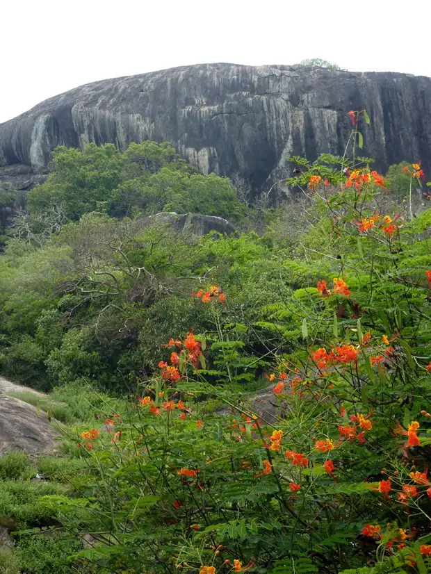 Sri Lanka. Kashi na 3.