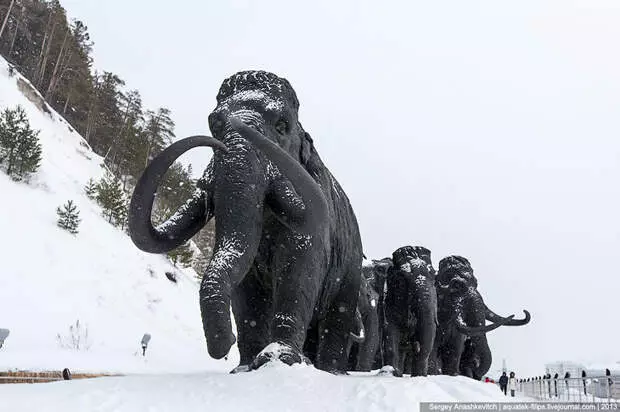 Mammoths ukusuka Khanty-Mansiysk.