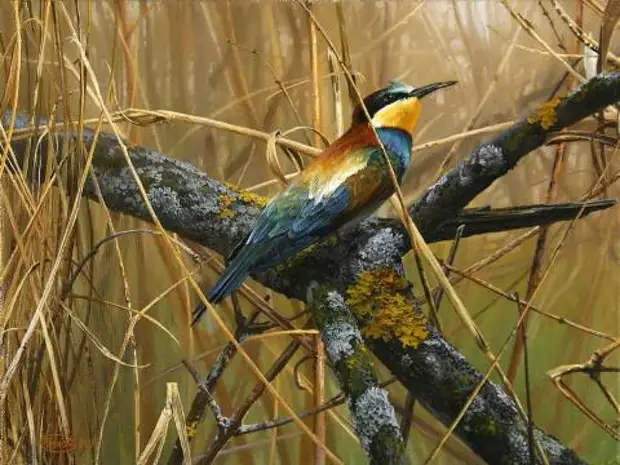 A bird on a branch