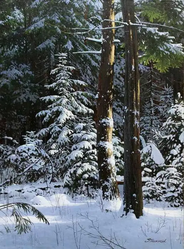 Winter in the forest