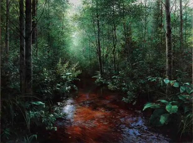 Forest stream