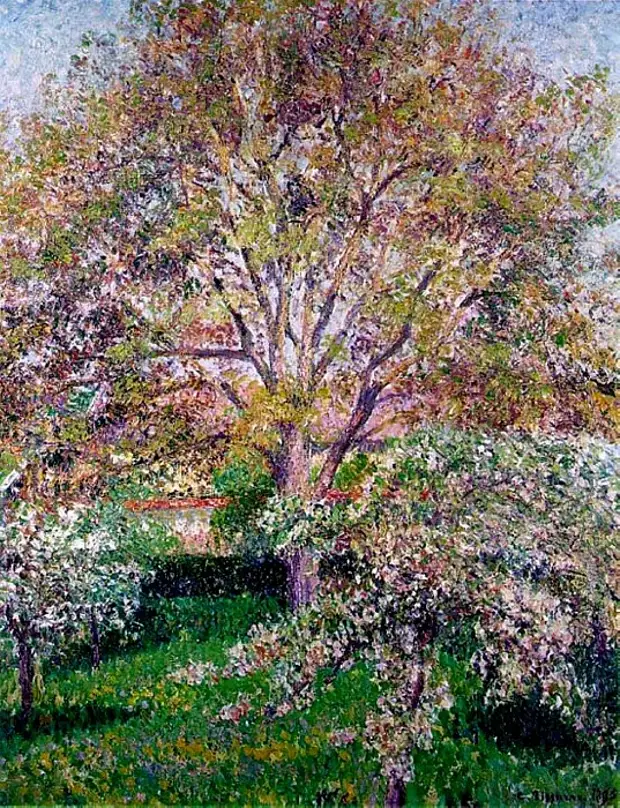 Wallnut- och äppelträd i Boom på Eragny. (1895). Pissarro, Camille