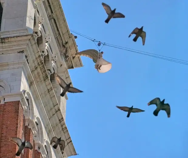 Carnaval de Venise : histoire, traditions, masques.