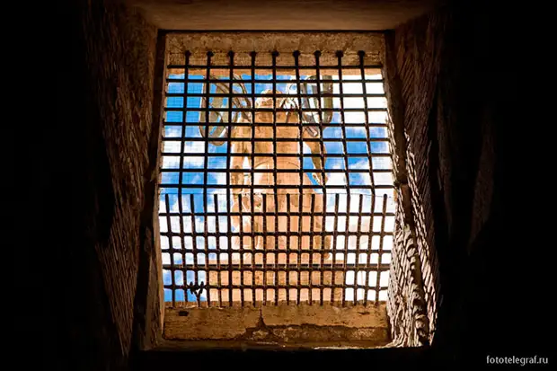 Se promener dans Rome. Château du Saint-Ange.