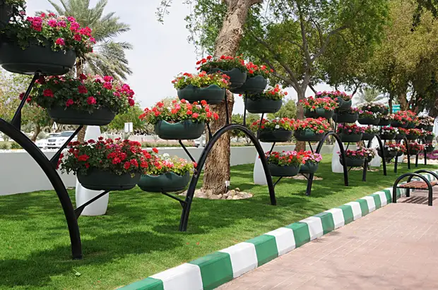 PARADISE GARDEN VUN Blummen, UAE